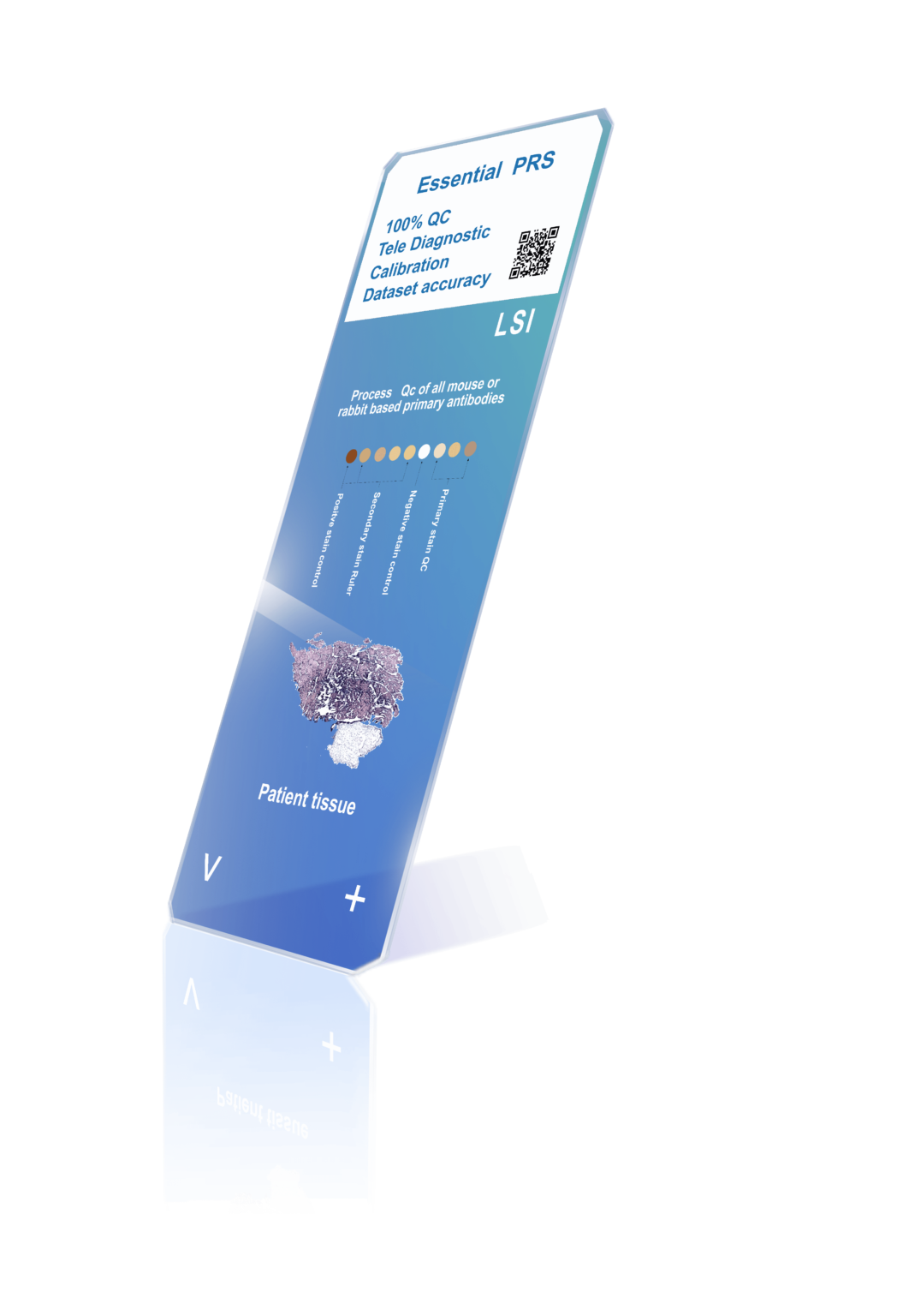 immunohistochemistry protocol |IHC-PRS